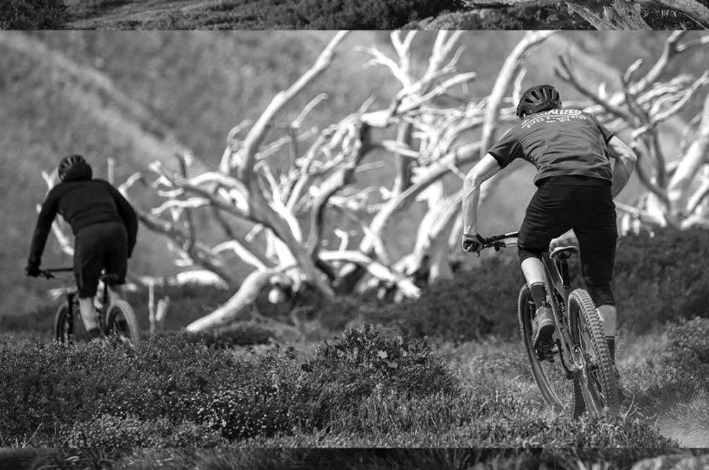 Roll Cycles Online Store Now Open | Roll Rentals